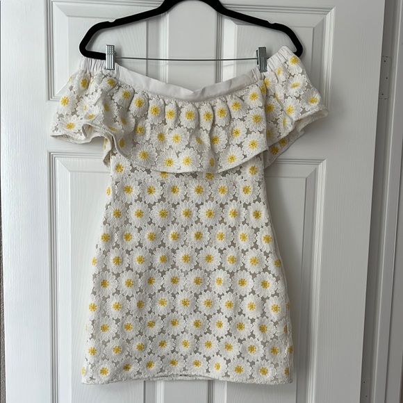 unknown | Dresses | Offshoulder Embroidered Sheer Daisy Mini Dress ...